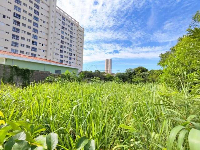 Terreno / Lote para Venda em Ribeirão Preto/SP Jardim Palma Travassos