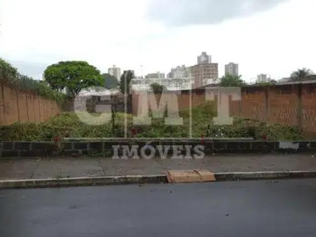 Terreno / Lote para Venda em Ribeirão Preto/SP Jardim Paulista