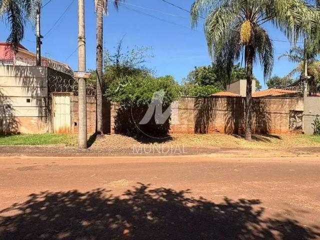 Terreno / Lote para Venda em Ribeirão Preto/SP Jardim Recreio