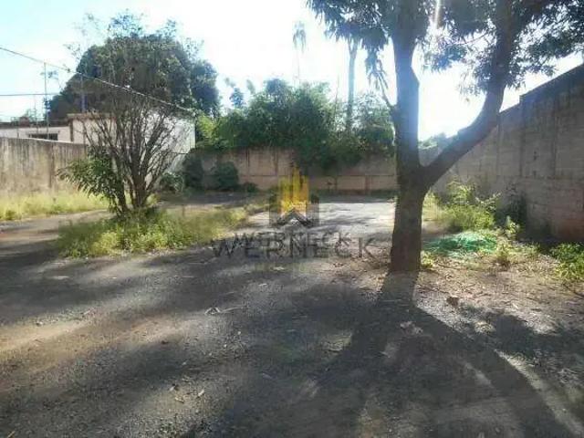 Terreno / Lote para Venda em Ribeirão Preto/SP Jardim República