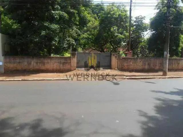 Terreno / Lote para Venda em Ribeirão Preto/SP Jardim República