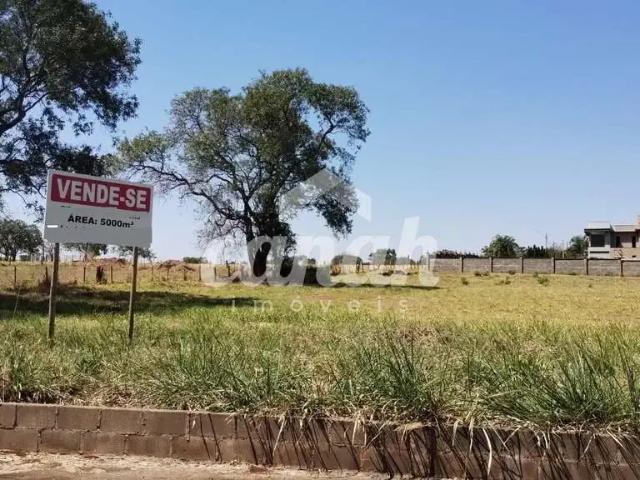 Terreno / Lote para Venda em Ribeirão Preto/SP Jardim São José