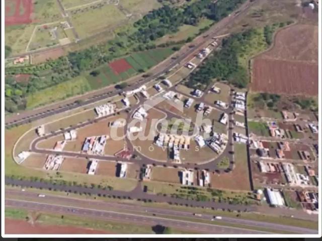 Terreno / Lote para Venda em Ribeirão Preto/SP Jardim Santa Cecília