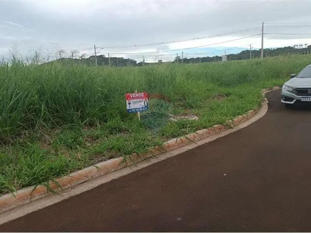 Terreno / Lote para Venda em Ribeirão Preto/SP Parque Anhangüera