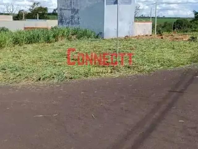 Terreno / Lote para Venda em Ribeirão Preto/SP Parque das Gaivotas