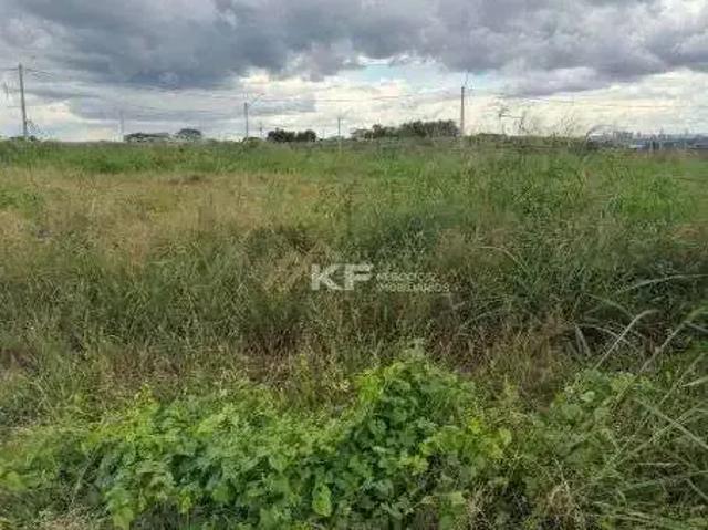 Terreno / Lote para Venda em Ribeirão Preto/SP Parque das Oliveiras II