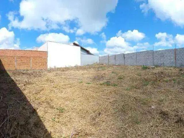 Terreno / Lote para Venda em Ribeirão Preto/SP Parque das Oliveiras