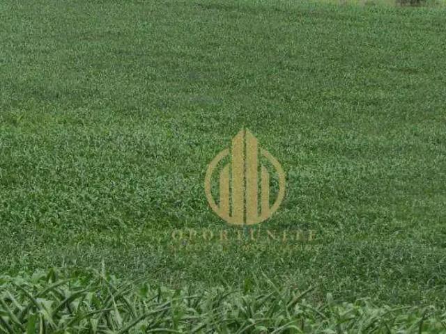 Terreno / Lote para Venda em Ribeirão Preto/SP Parque das Oliveiras