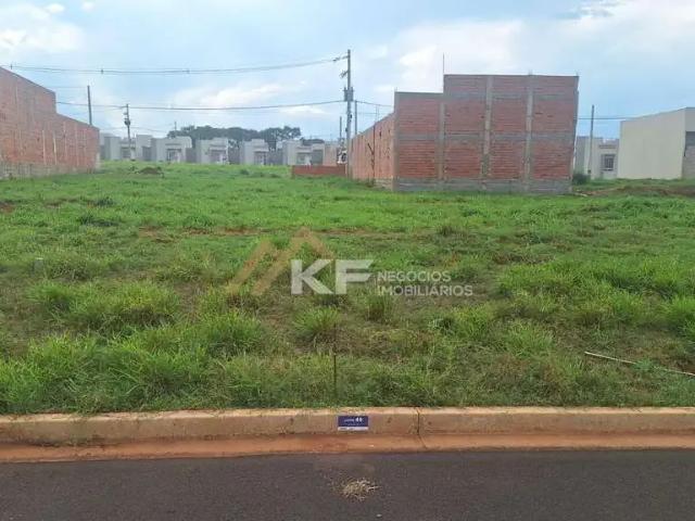 Terreno / Lote para Venda em Ribeirão Preto/SP Parque Industria