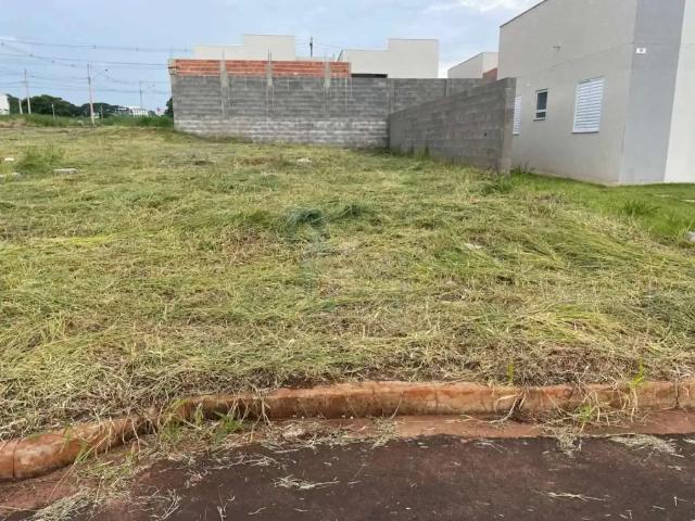 Terreno / Lote para Venda em Ribeirão Preto/SP Parque Industria