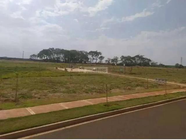 Terreno / Lote para Venda em Ribeirão Preto/SP Parque Industrial Avelino Alves Palma