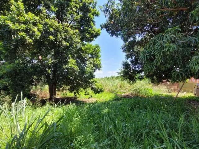 Terreno / Lote para Venda em Ribeirão Preto/SP Parque Residencial Cidade Universitária