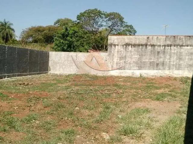 Terreno / Lote para Venda em Ribeirão Preto/SP Parque Residencial Lagoinha