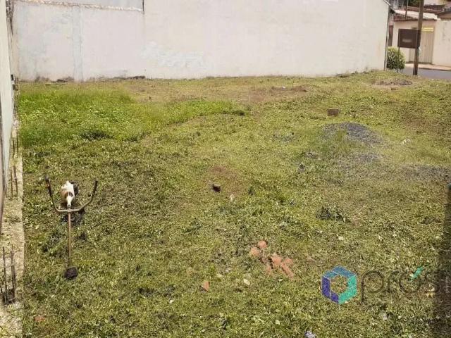 Terreno / Lote para Venda em Ribeirão Preto/SP Parque São Sebastião