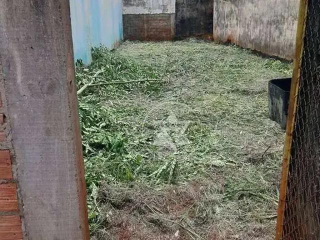 Terreno / Lote para Venda em Ribeirão Preto/SP Planalto Verde