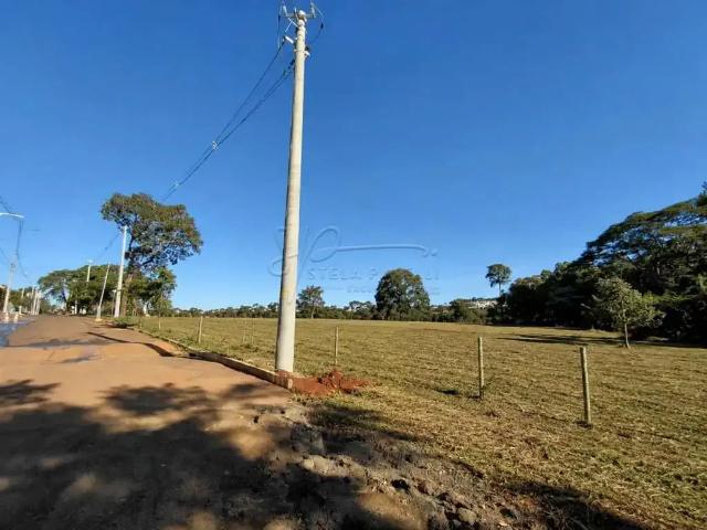 Terreno / Lote para Venda em Ribeirão Preto/SP Quinta da Alvorada