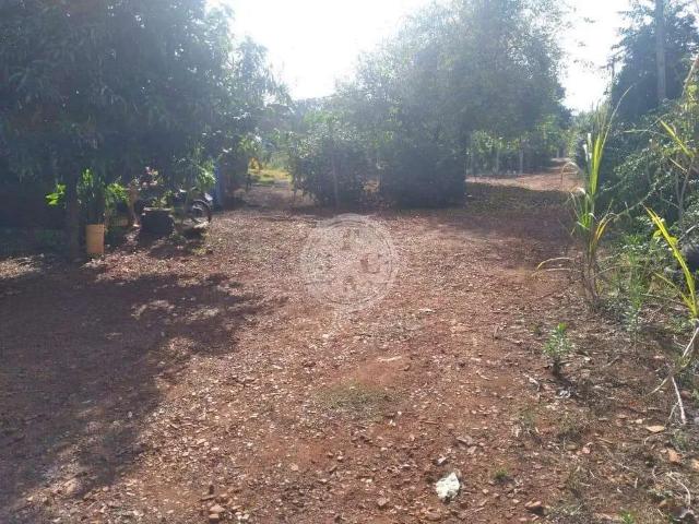Terreno / Lote para Venda em Ribeirão Preto/SP Quinta da Alvorada