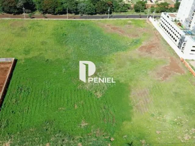 Terreno / Lote para Venda em Ribeirão Preto/SP Quinta da Primavera