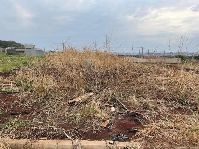 Terreno / Lote para Venda em Ribeirão Preto/SP Recreio Anhangüera