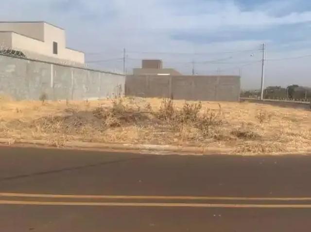 Terreno / Lote para Venda em Ribeirão Preto/SP Recreio Anhangüera