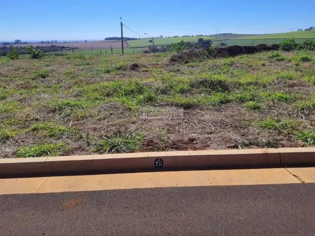 Terreno / Lote para Venda em Ribeirão Preto/SP Recreio Anhangüera