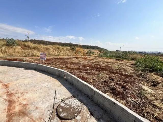 Terreno / Lote para Venda em Ribeirão Preto/SP Recreio Anhangüera