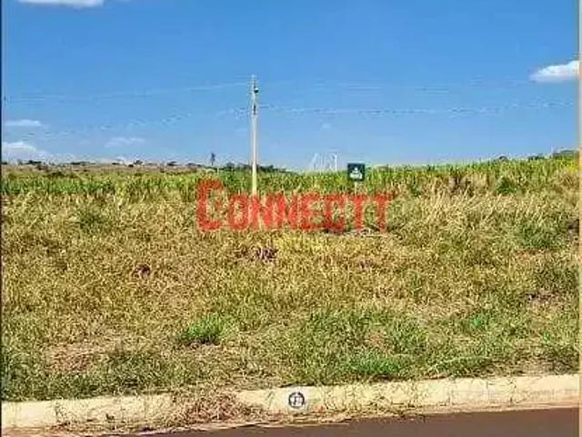 Terreno / Lote para Venda em Ribeirão Preto/SP Recreio Anhangüera