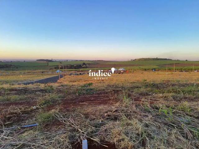 Terreno / Lote para Venda em Ribeirão Preto/SP Recreio Anhangüera