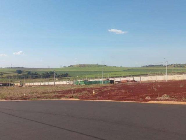 Terreno / Lote para Venda em Ribeirão Preto/SP Recreio Anhangüera