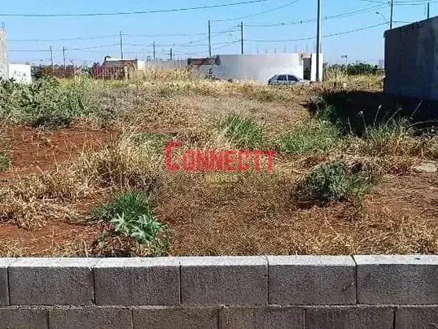 Terreno / Lote para Venda em Ribeirão Preto/SP Recreio Anhangüera
