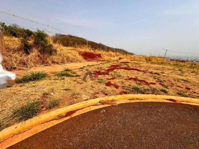 Terreno / Lote para Venda em Ribeirão Preto/SP Recreio Anhangüera