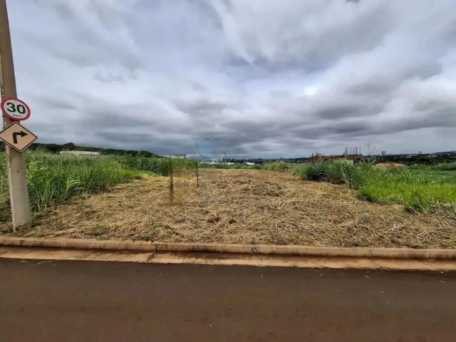 Terreno / Lote para Venda em Ribeirão Preto/SP Recreio Anhangüera