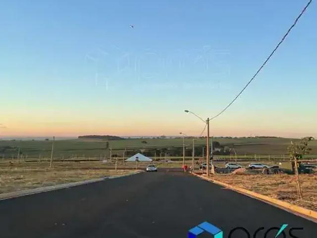 Terreno / Lote para Venda em Ribeirão Preto/SP Recreio Anhangüera