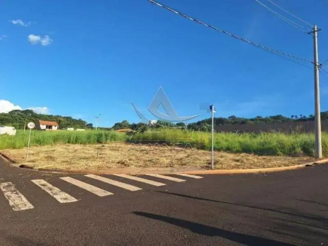 Terreno / Lote para Venda em Ribeirão Preto/SP Recreio Anhangüera