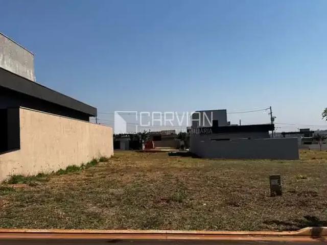 Terreno / Lote para Venda em Ribeirão Preto/SP Recreio Anhangüera