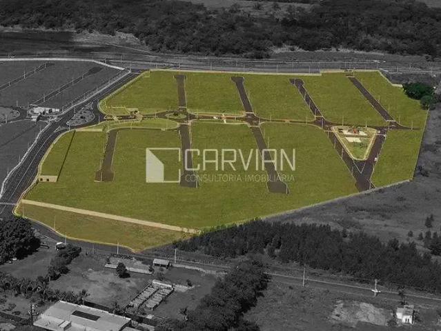 Terreno / Lote para Venda em Ribeirão Preto/SP Recreio Anhangüera