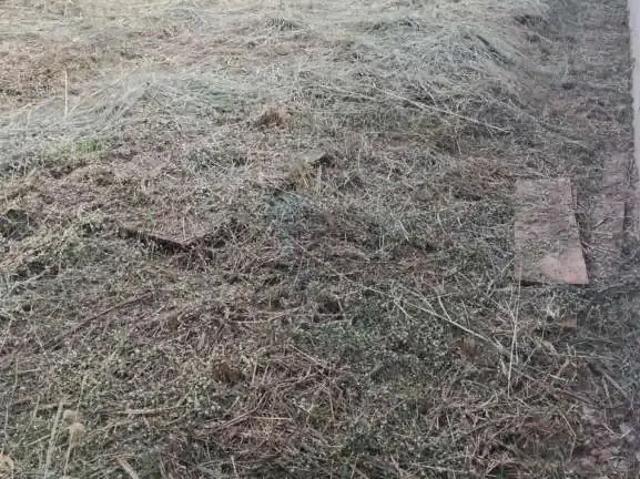 Terreno / Lote para Venda em Ribeirão Preto/SP Recreio Anhangüera