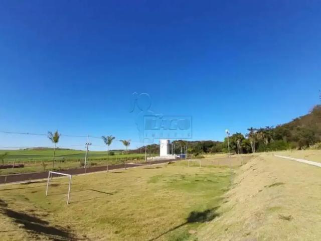 Terreno / Lote para Venda em Ribeirão Preto/SP Recreio Anhangüera