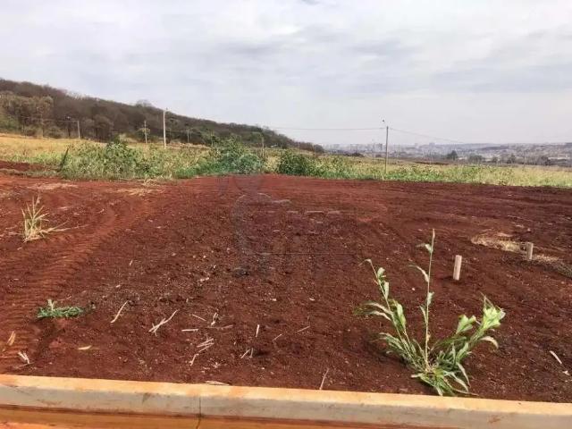Terreno / Lote para Venda em Ribeirão Preto/SP Recreio Anhangüera