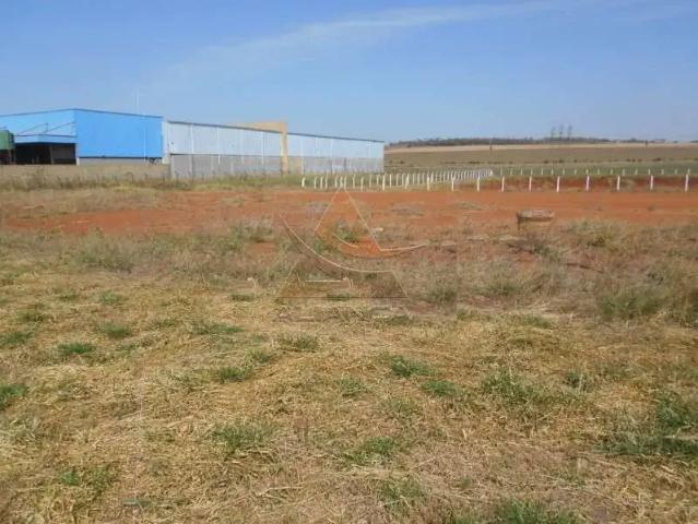Terreno / Lote para Venda em Ribeirão Preto/SP Recreio Anhangüera