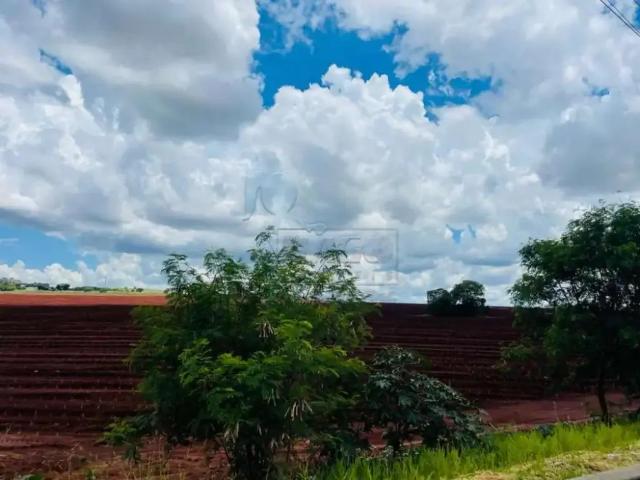 Terreno / Lote para Venda em Ribeirão Preto/SP Recreio Anhangüera