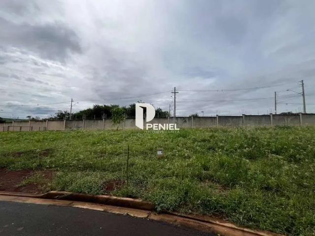 Terreno / Lote para Venda em Ribeirão Preto/SP Recreio Anhangüera