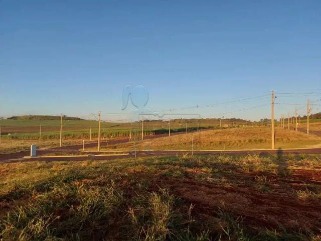 Terreno / Lote para Venda em Ribeirão Preto/SP Recreio Anhangüera