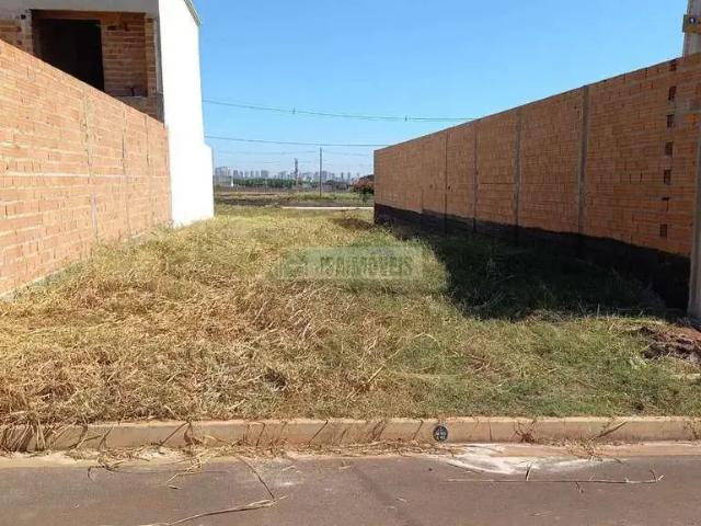 Terreno / Lote para Venda em Ribeirão Preto/SP Recreio Anhangüera