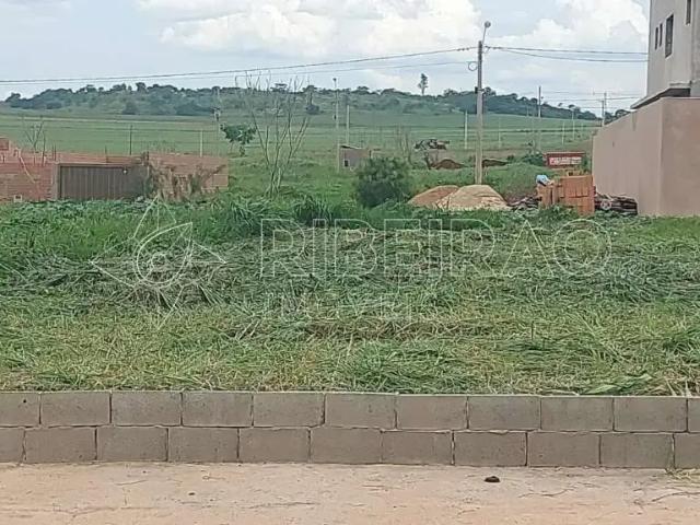 Terreno / Lote para Venda em Ribeirão Preto/SP Recreio Anhangüera