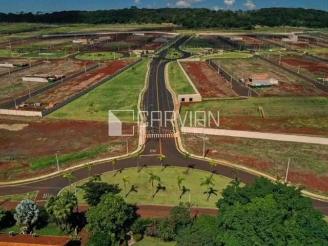 Terreno / Lote para Venda em Ribeirão Preto/SP Recreio Anhangüera
