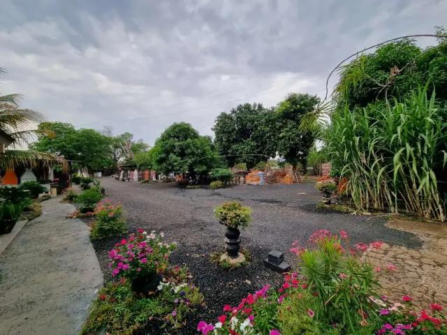 Terreno / Lote para Venda em Ribeirão Preto/SP Recreio das Acácias