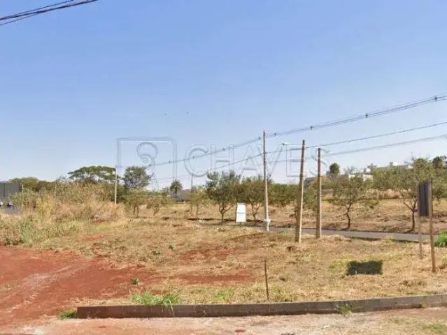 Terreno / Lote para Venda em Ribeirão Preto/SP Recreio das Acácias
