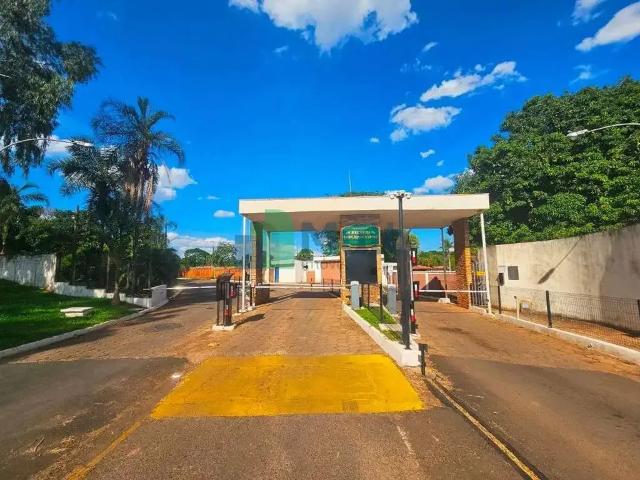 Terreno / Lote para Venda em Ribeirão Preto/SP Recreio Internacional
