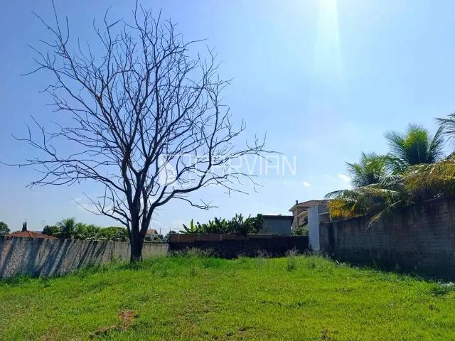 Terreno / Lote para Venda em Ribeirão Preto/SP Real Sul